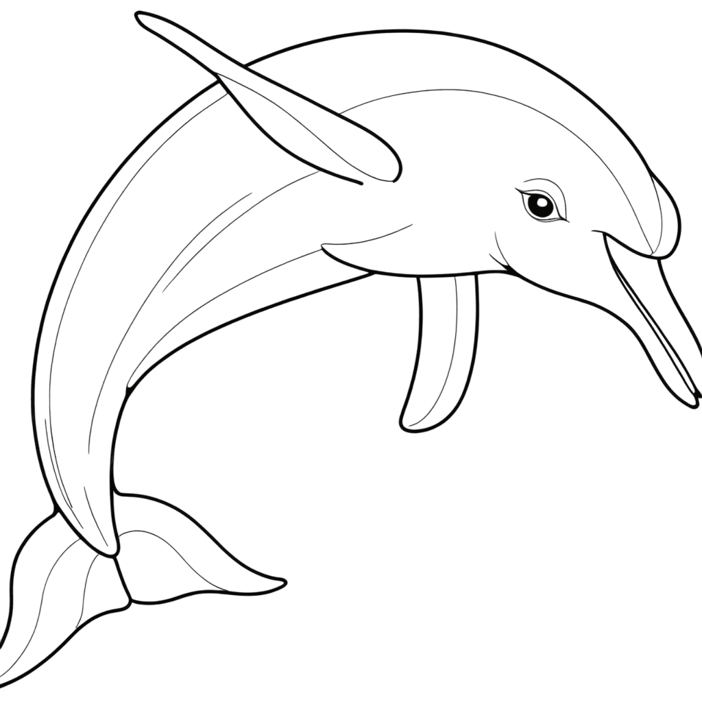 9 Desenhos do Boto cor de rosa para colorir